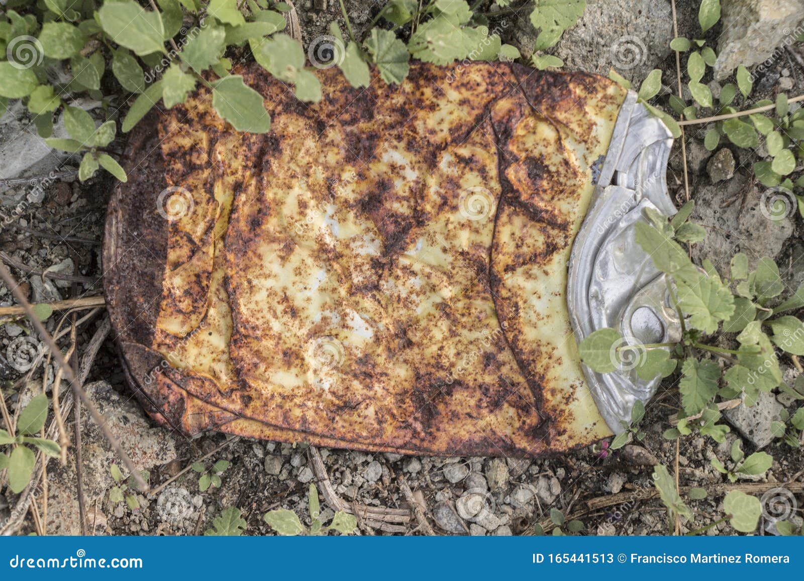 Old Rusty Flattened Beer Can Stock Image - Image of broken, brown ...
