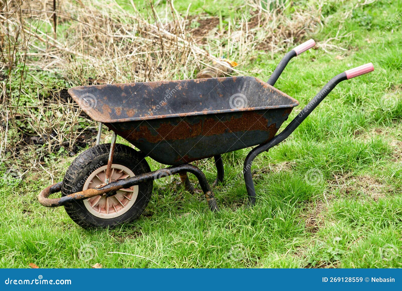 Old Rusty Garden Cart on Green Grass. Spring Garden Work Stock Image ...