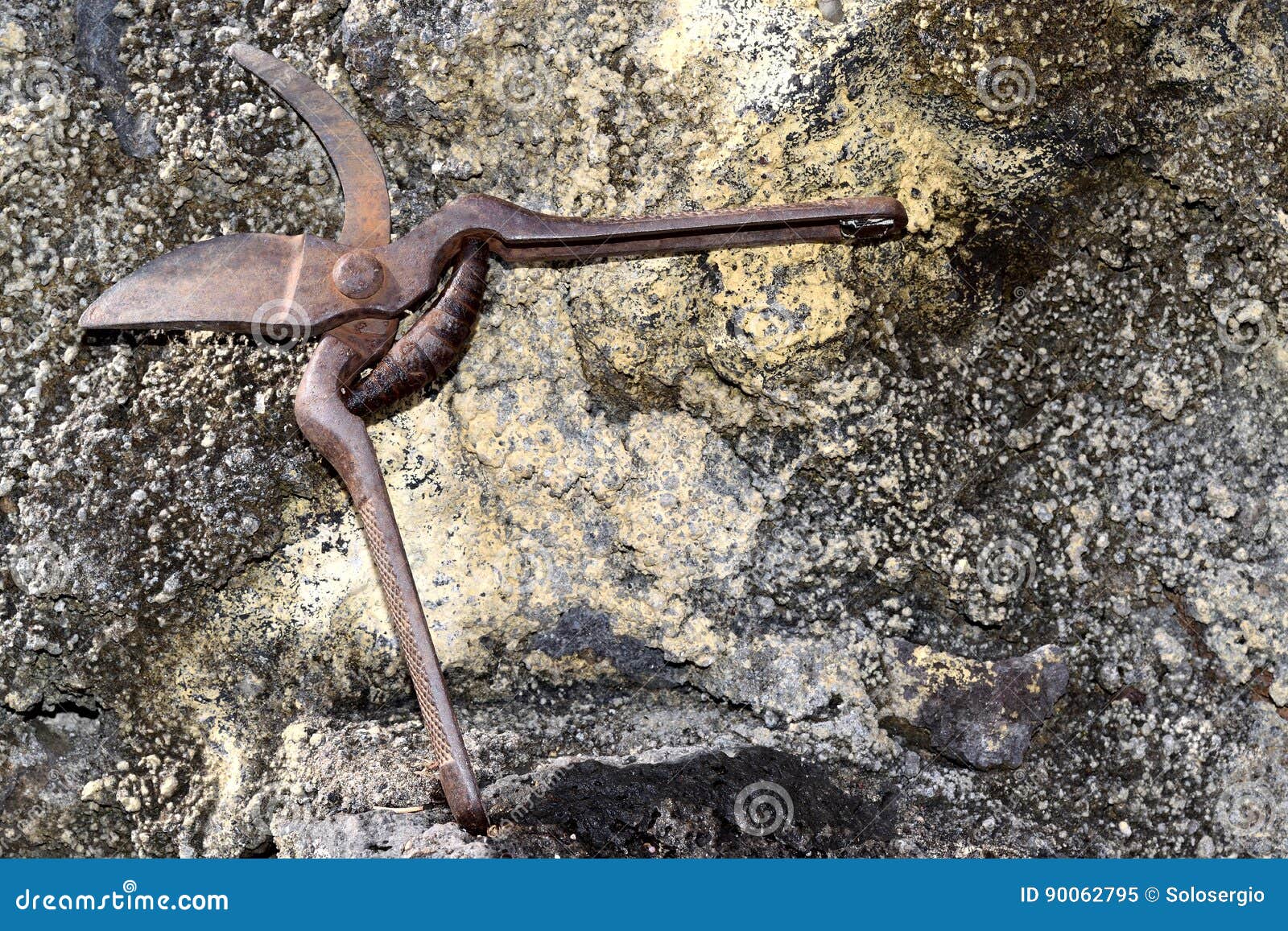 Old rusty garden shears stock image. Image of handle - 90062795