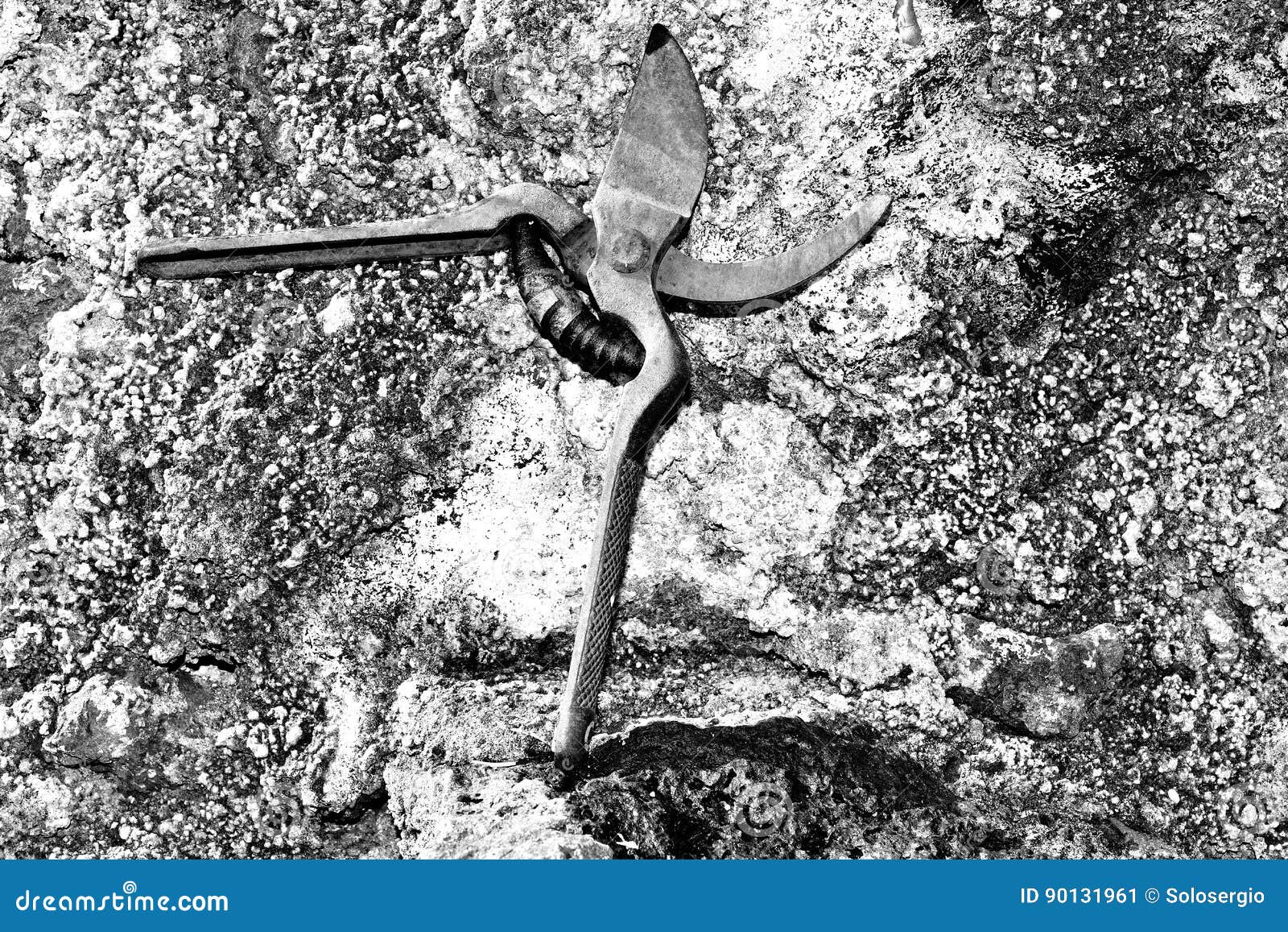 Old rusty garden shears stock image. Image of shears - 90131961