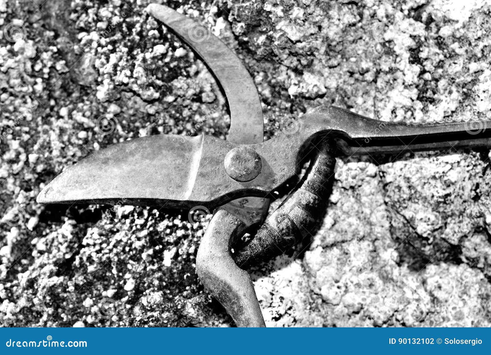 Old rusty garden shears stock photo. Image of open, iron - 90132102