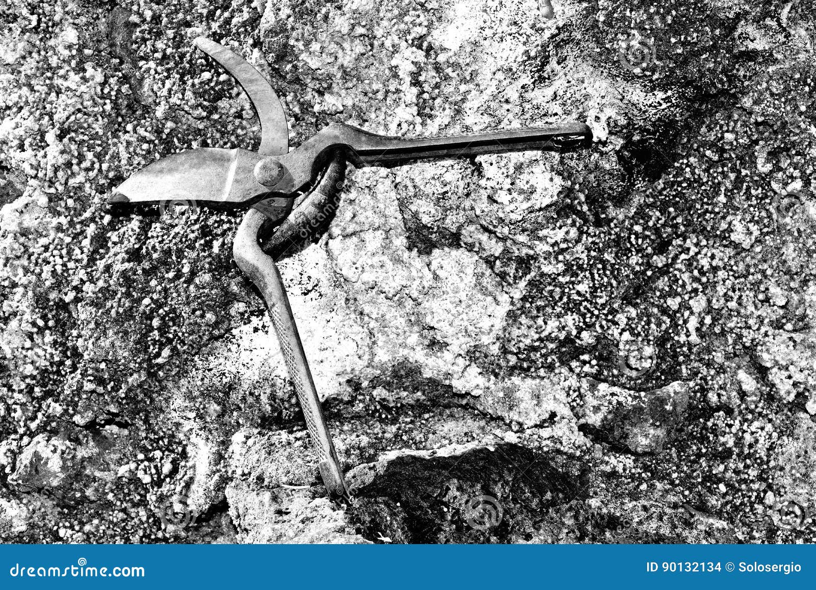 Old rusty garden shears stock photo. Image of industry - 90132134