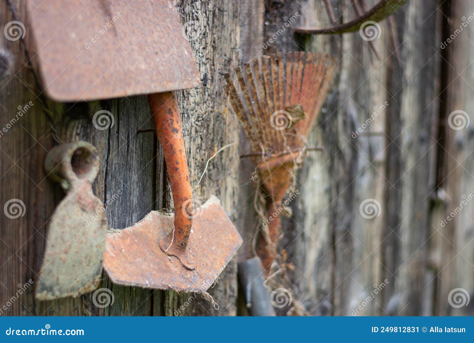 Old Gardening Tools Hanging on the Barn Wall Stock Image - Image of ...