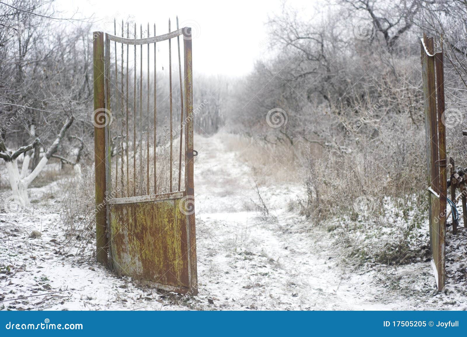Rusty Gate Stock Photography | CartoonDealer.com #39396122