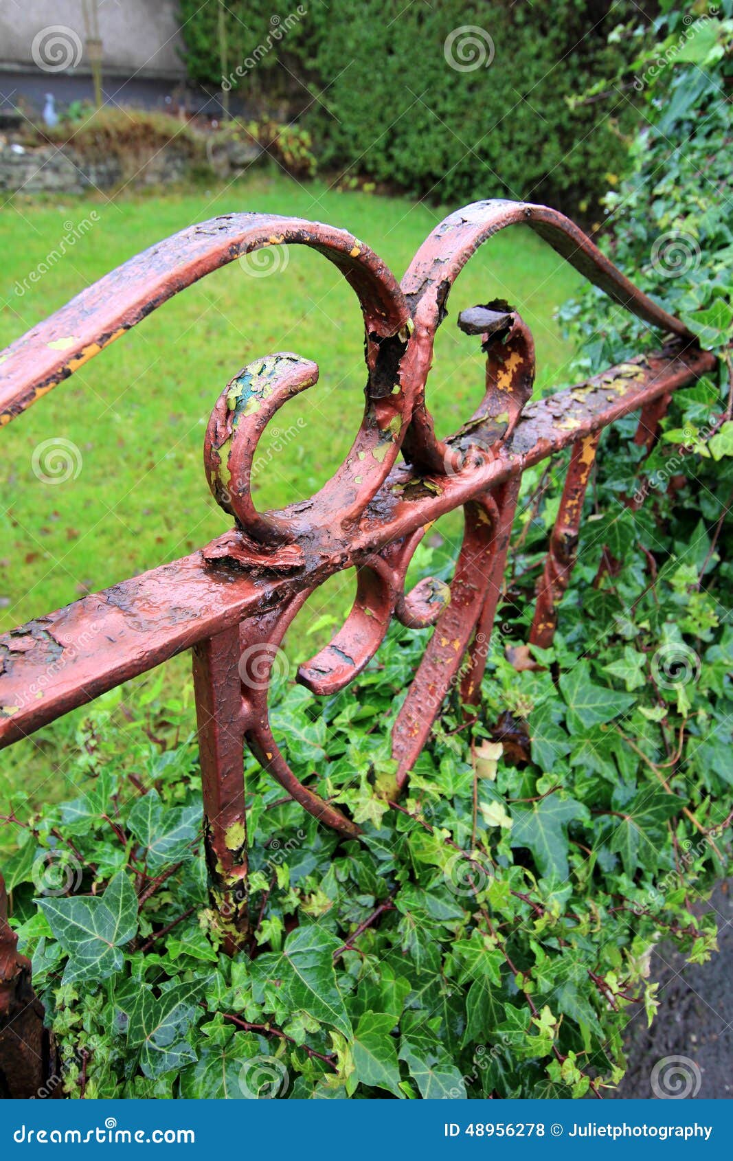 Old rusty gate close up stock photo. Image of painted - 48956278
