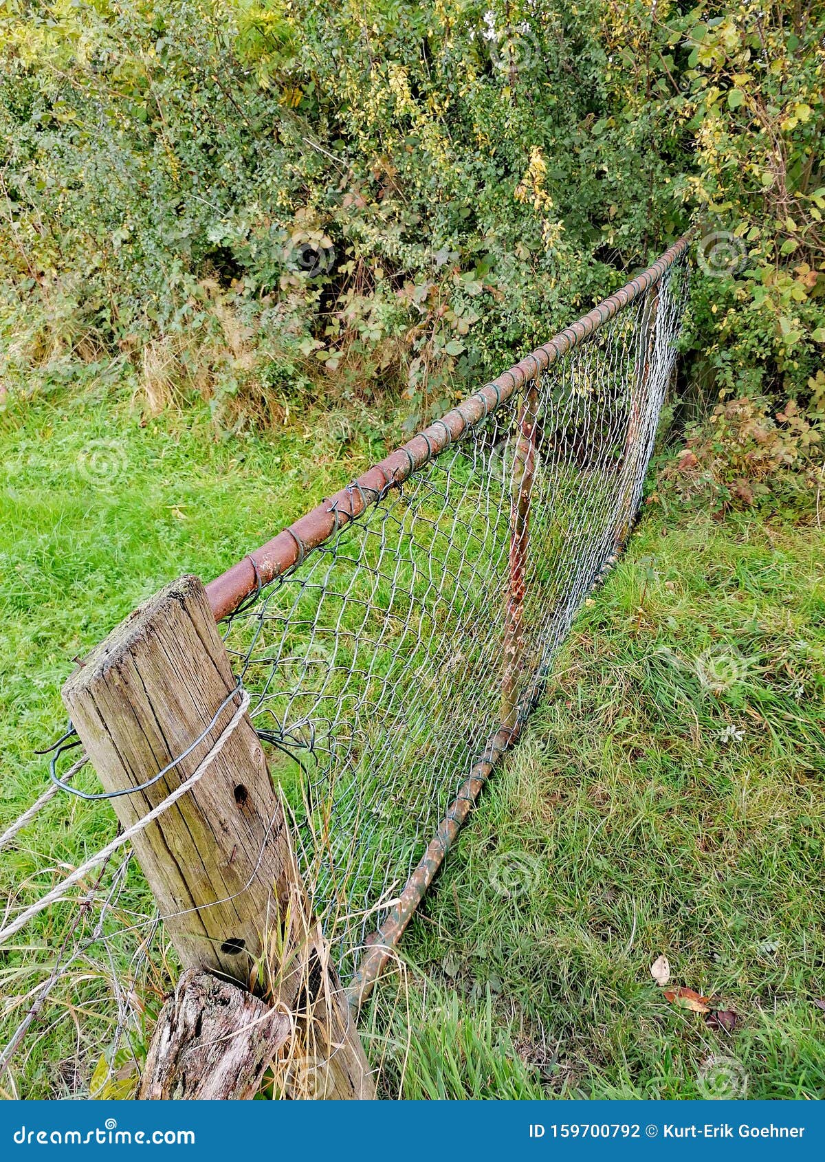 Old rusty gate on farm stock photo. Image of farmland - 159700792