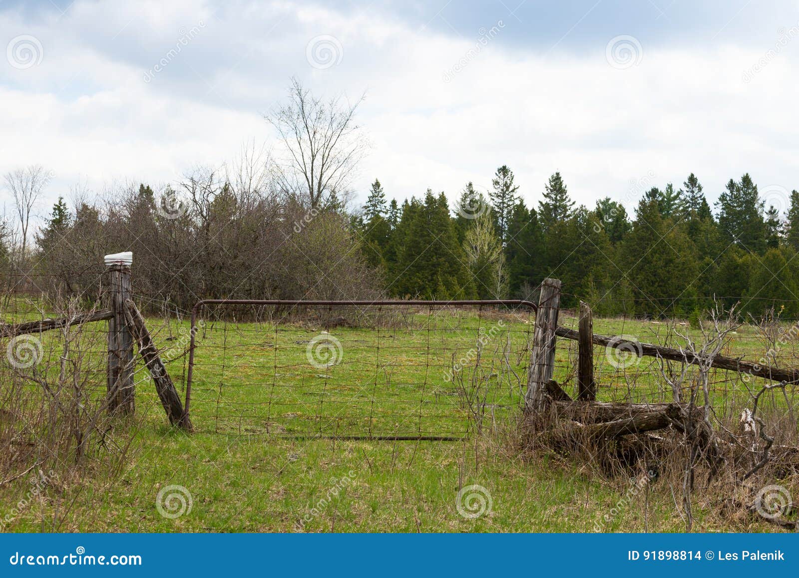 Old rusty gate stock photo. Image of farm, metal, posts - 91898814