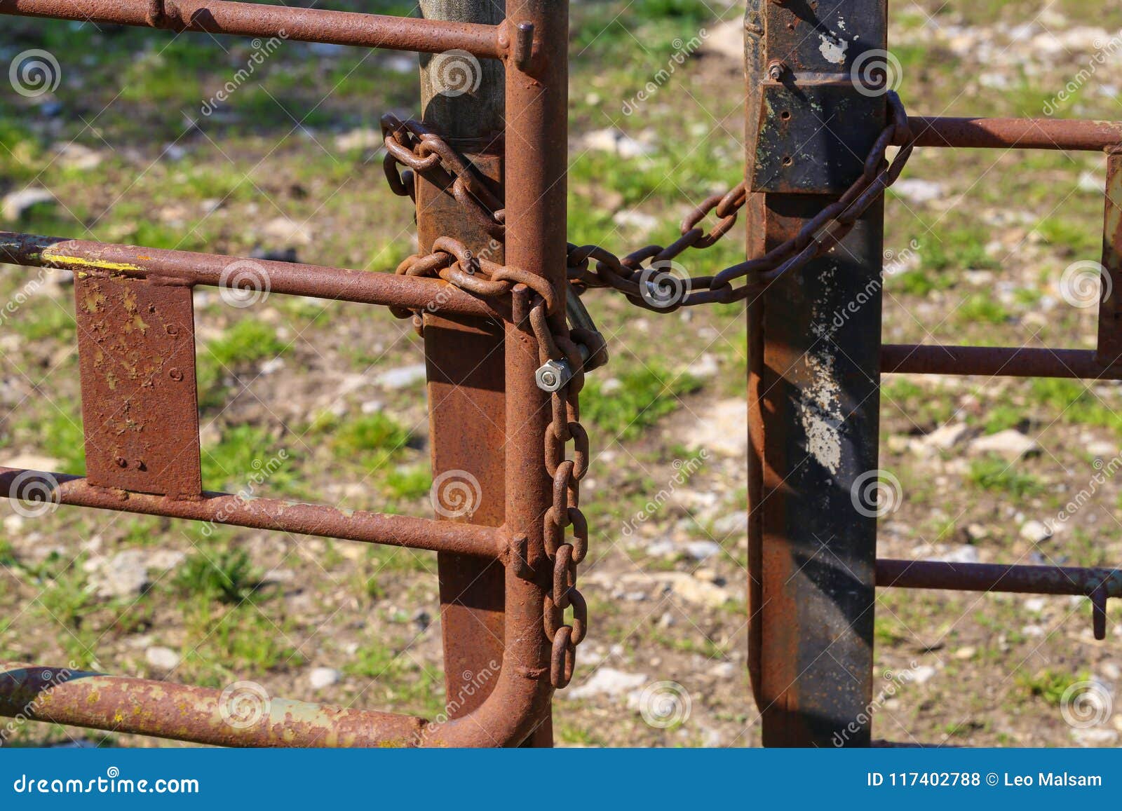 Old Rusty Gate in a Pen for Cattle Stock Photo - Image of gate ...