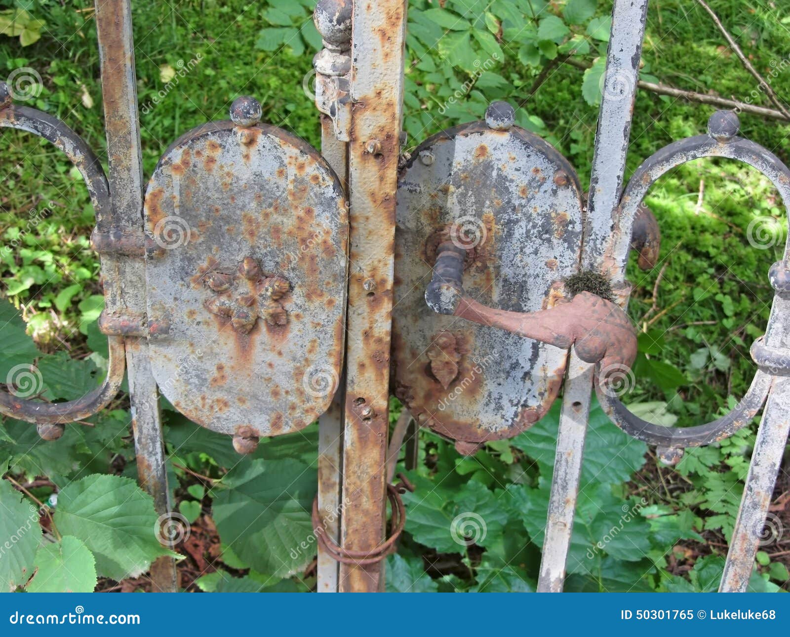 Old rusty gate stock image. Image of growth, weathered - 50301765