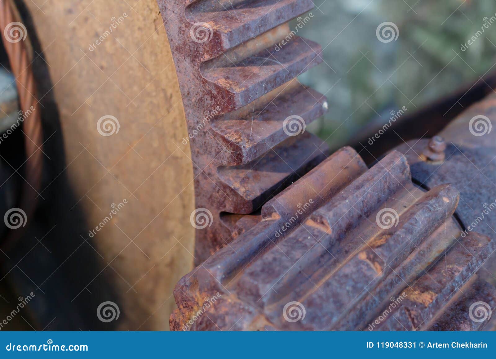 Gears With Teeth For Machine For The Production Of Steel Profiles ...