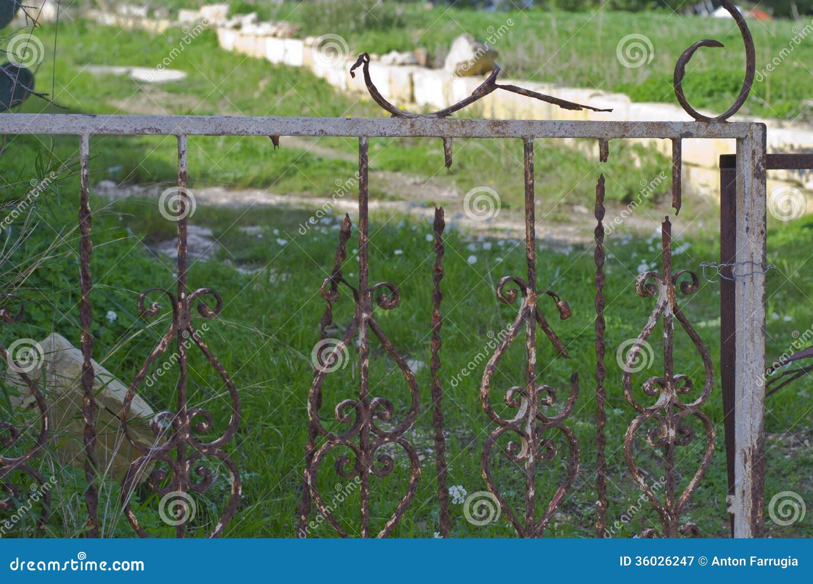 Old rusty iron gate stock image. Image of iron, rust - 36026247
