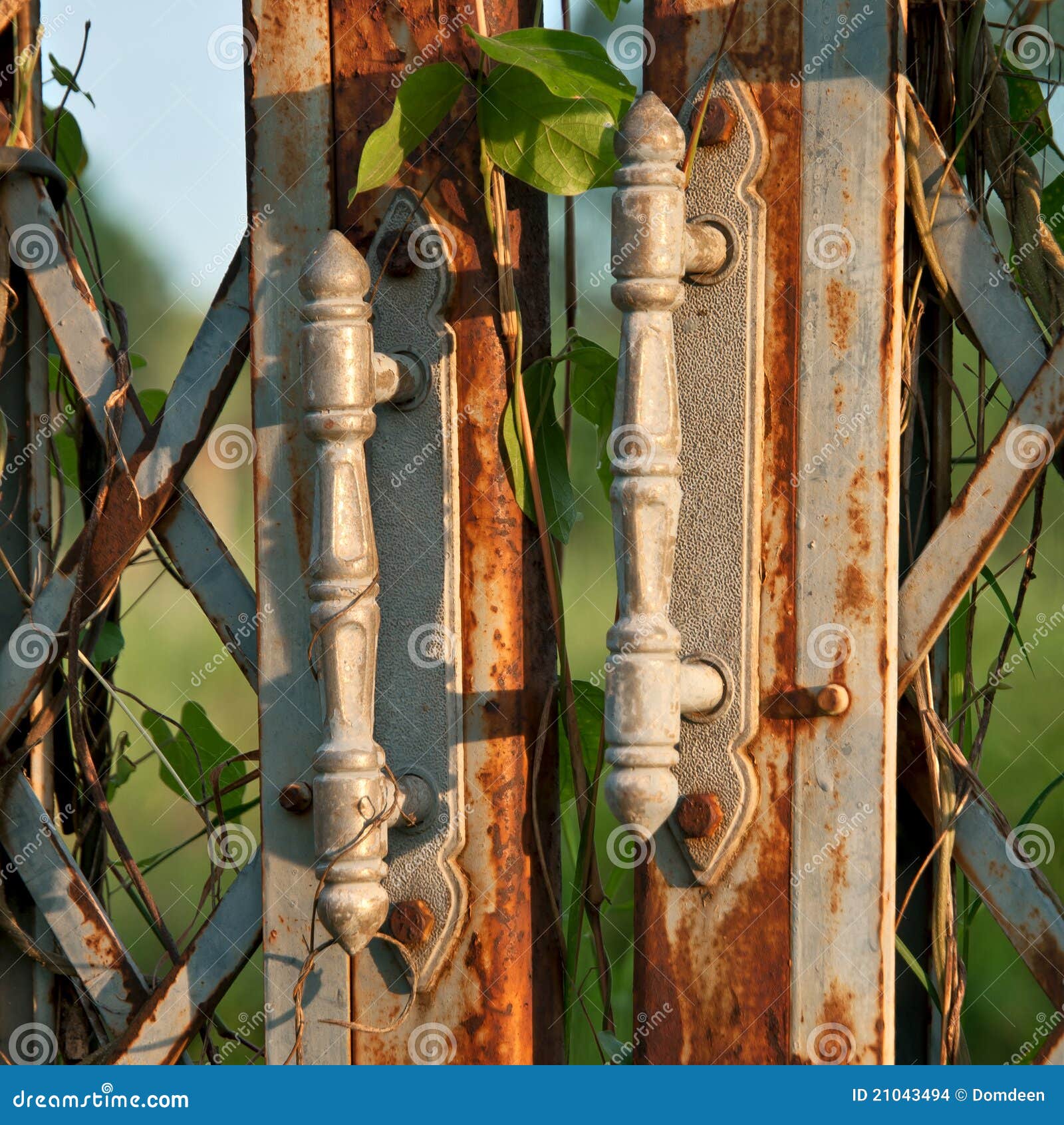 Old rusty iron gates. stock photo. Image of home, safety - 21043494