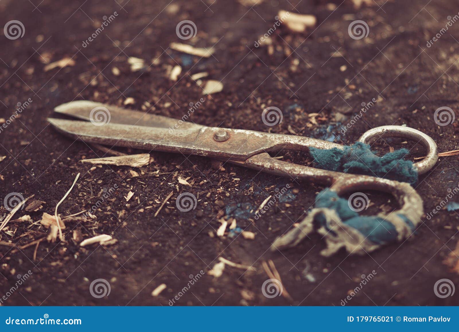 Old Rusty Iron Vintage Retro Scissors for Work Stock Image - Image of ...