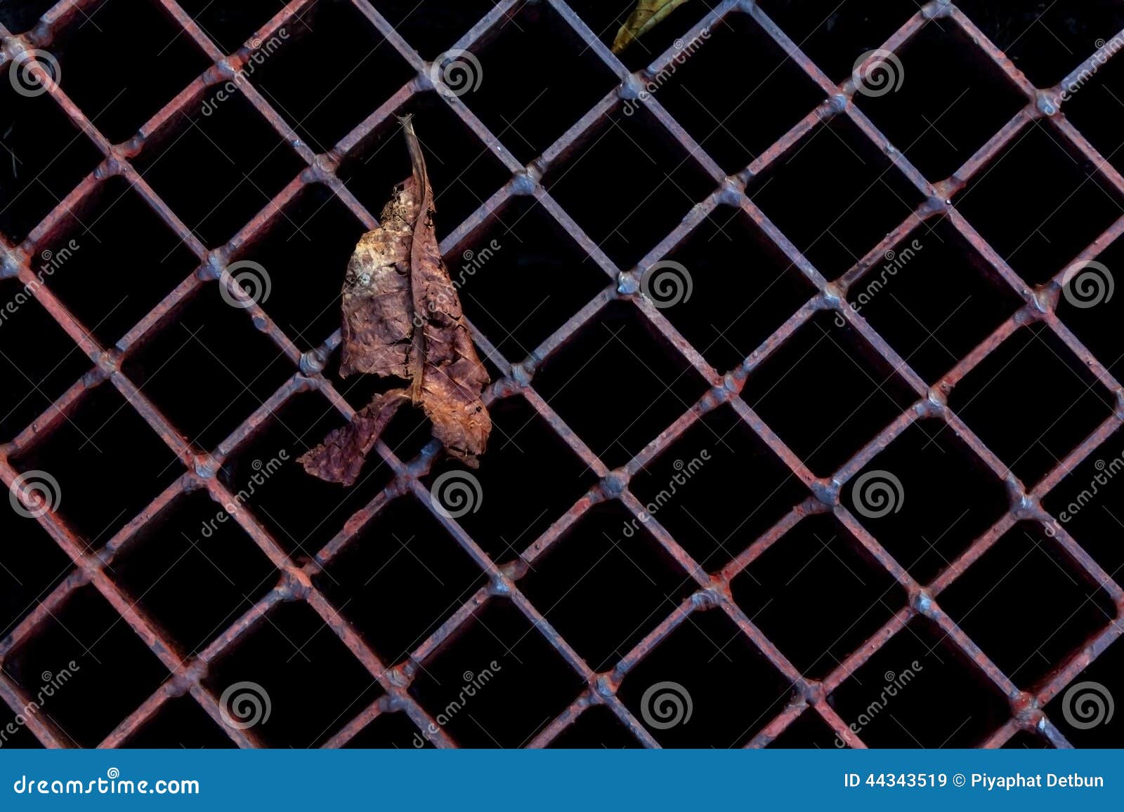 Old rusty lattice stock image. Image of lattice, pattern - 44343519