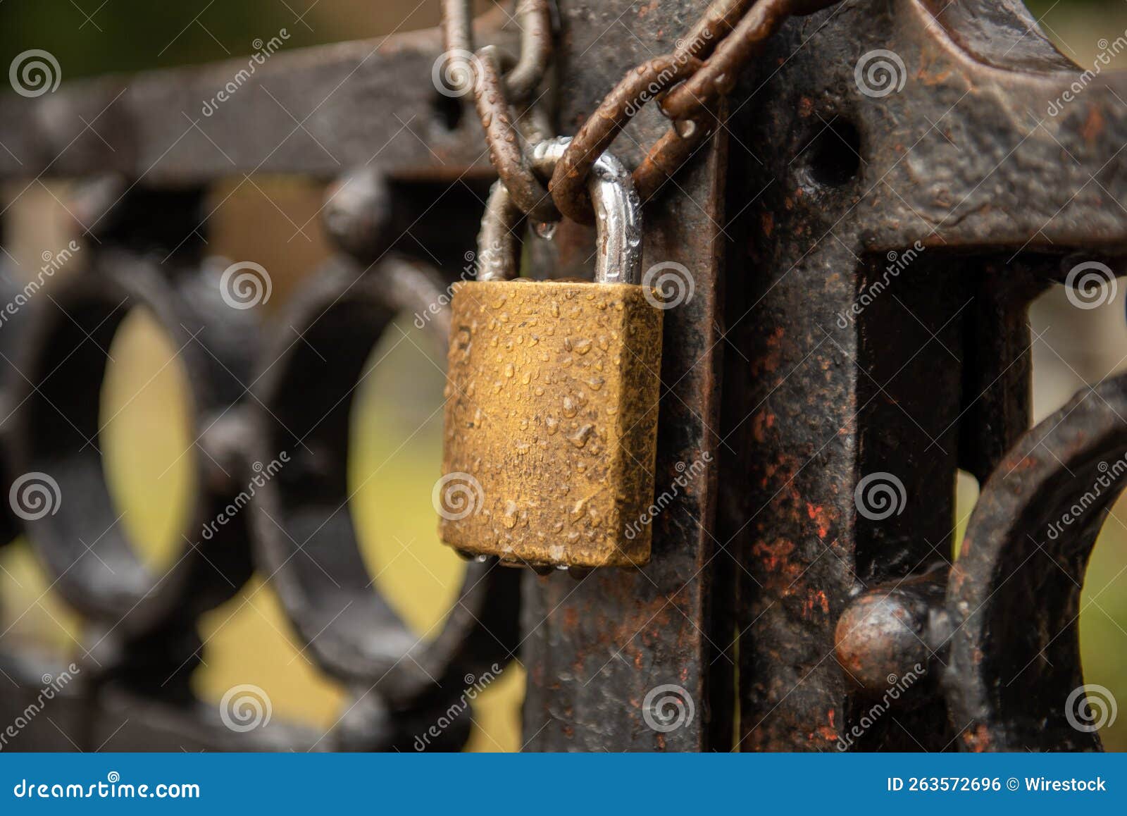 Rusty Lock Hanging on the Bridge Railings Stock Photo - Image of rusty ...