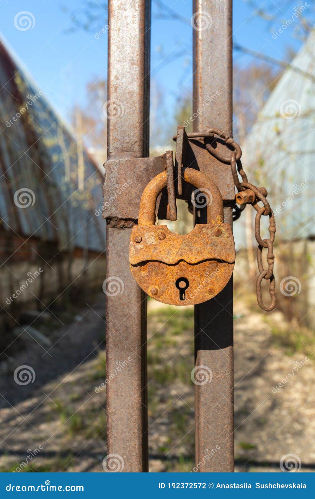 Old Rusty Lock on a Metal Gate Stock Photo - Image of padlocks, design ...