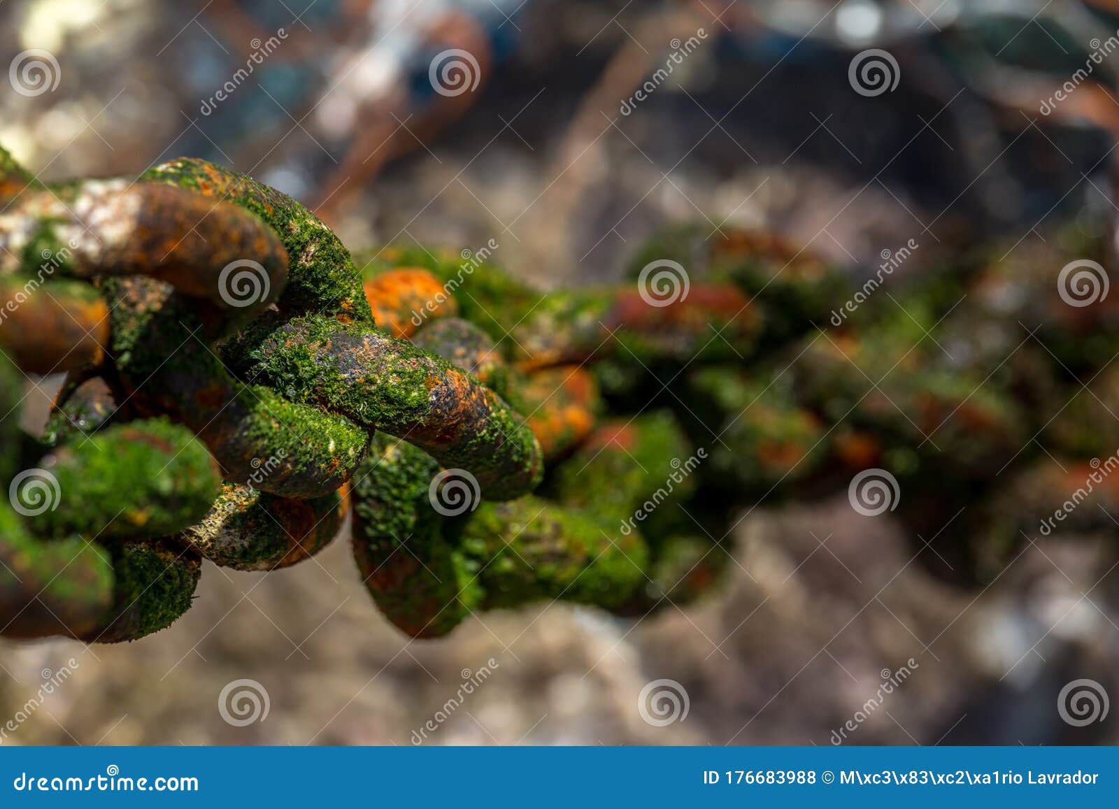 A Rusty Metal Chain Covered with Moss Editorial Stock Photo - Image of ...