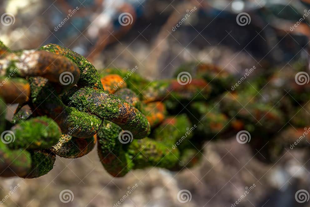 A Rusty Metal Chain Covered with Moss Editorial Stock Photo - Image of ...