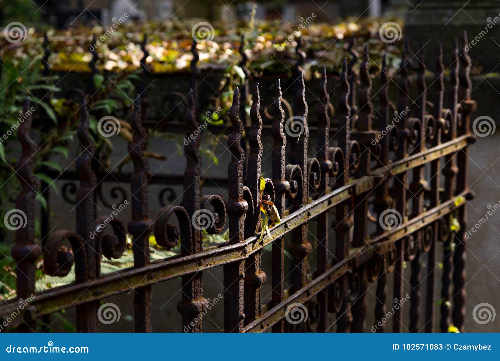Old rusty metal fence, stock image. Image of forged - 102571083