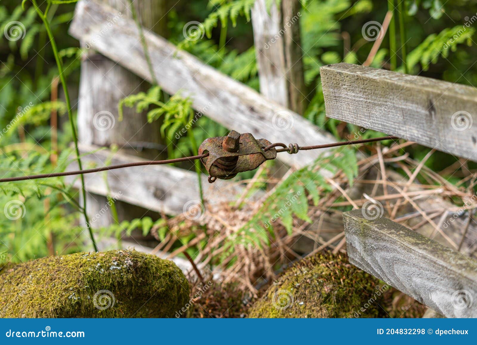 Old and Rusty Metal Fence stock photo. Image of outdoor - 204832298