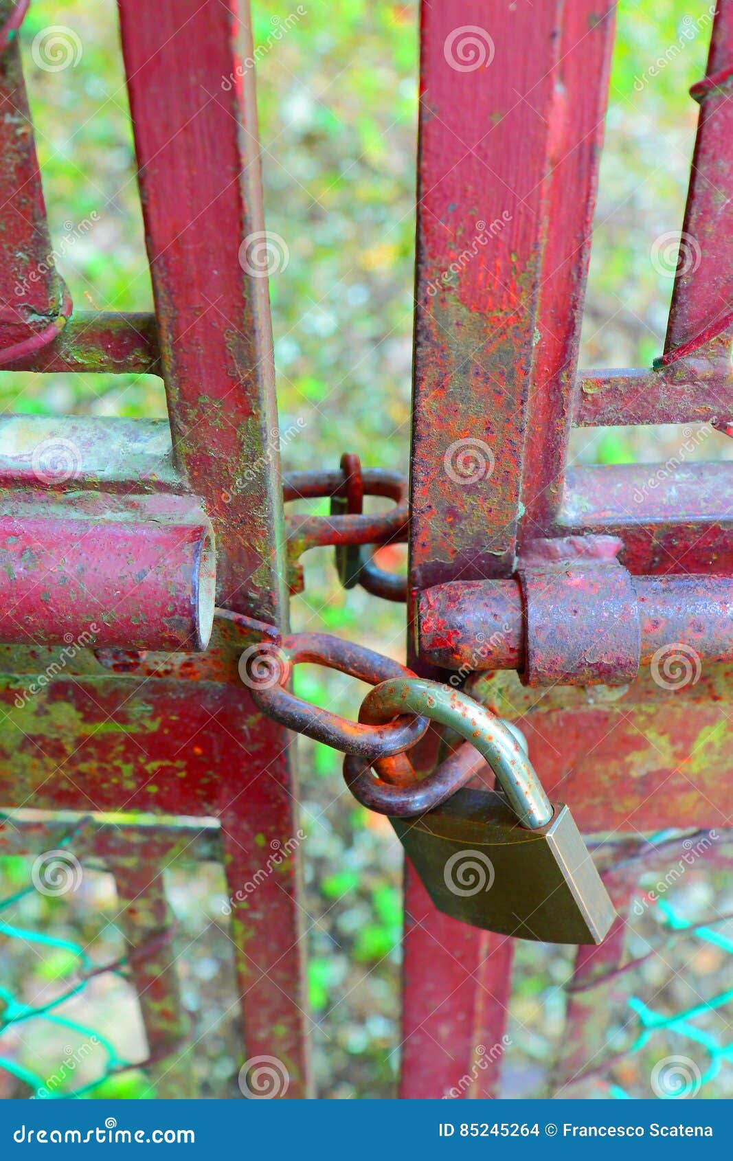 Old Rusty Metal Gate Closed with Padlock Stock Photo - Image of closeup ...