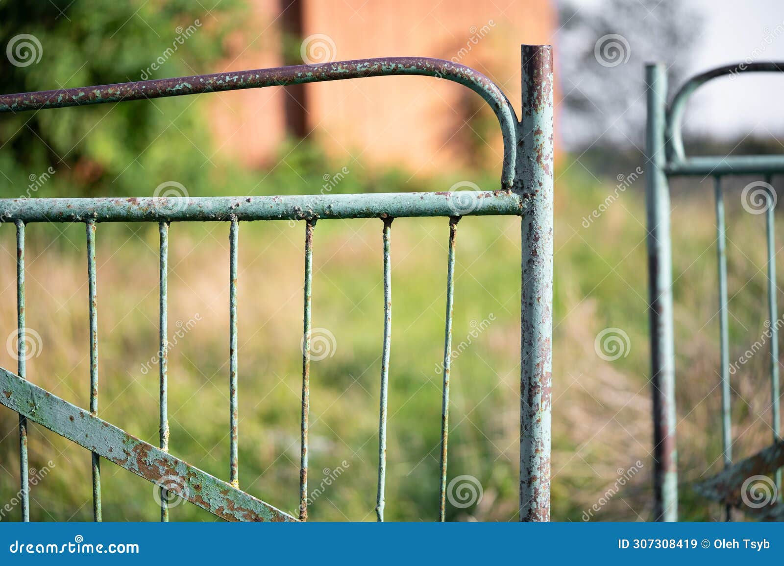 Old Rusty Metal Gate with Cracked Paint Stock Image - Image of iron ...