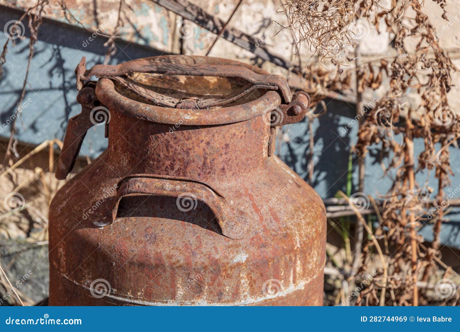Old Rusty Metal Milk Jug in Countryside Stock Image - Image of iron ...