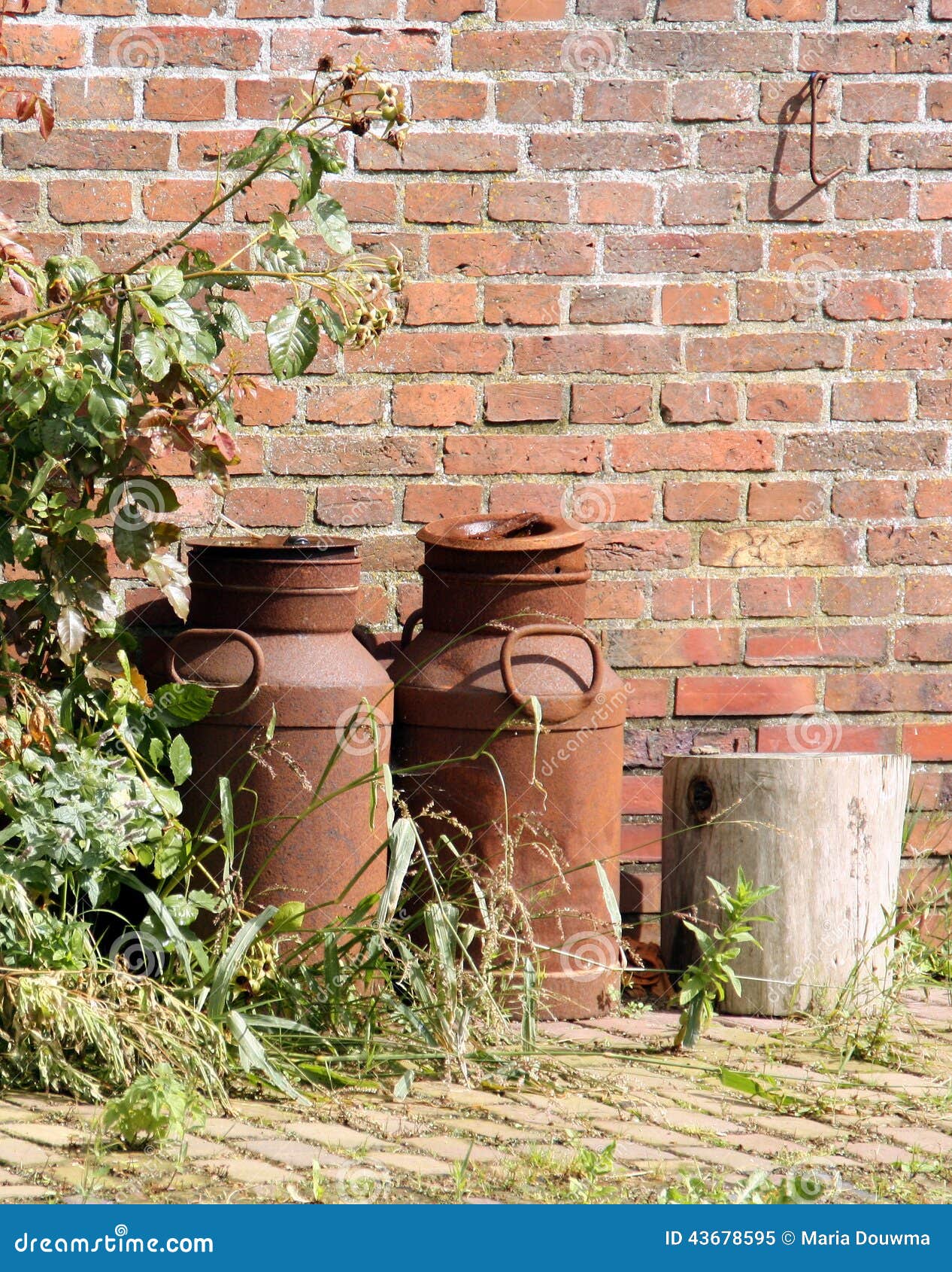 Old rusty milk cans stock image. Image of nostalgia, farm - 43678595