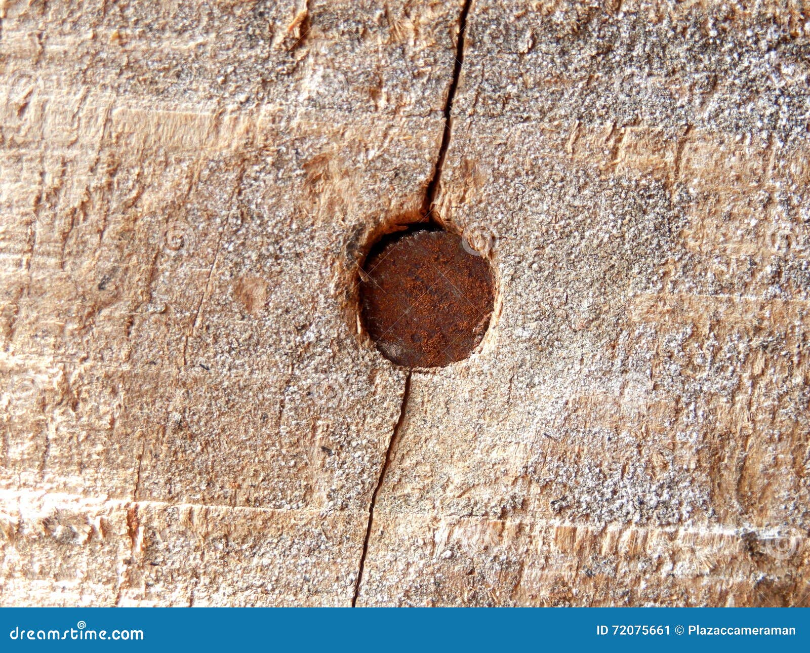 Old Rusty Nail stock image. Image of corroded, damaged - 72075661