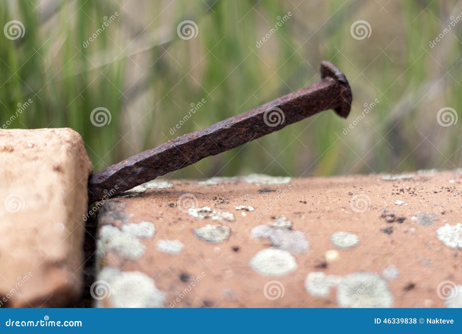 Old Rusty Nail Stuck between Two Tiles Stock Photo - Image of metal ...