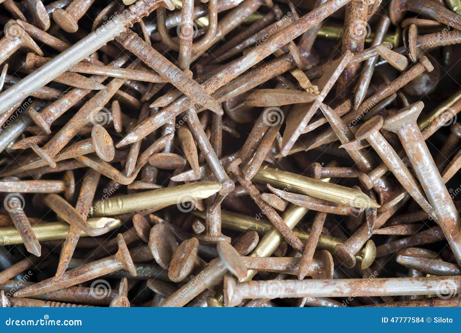 Old rusty nails stock photo. Image of macro, tool, appliance - 47777584