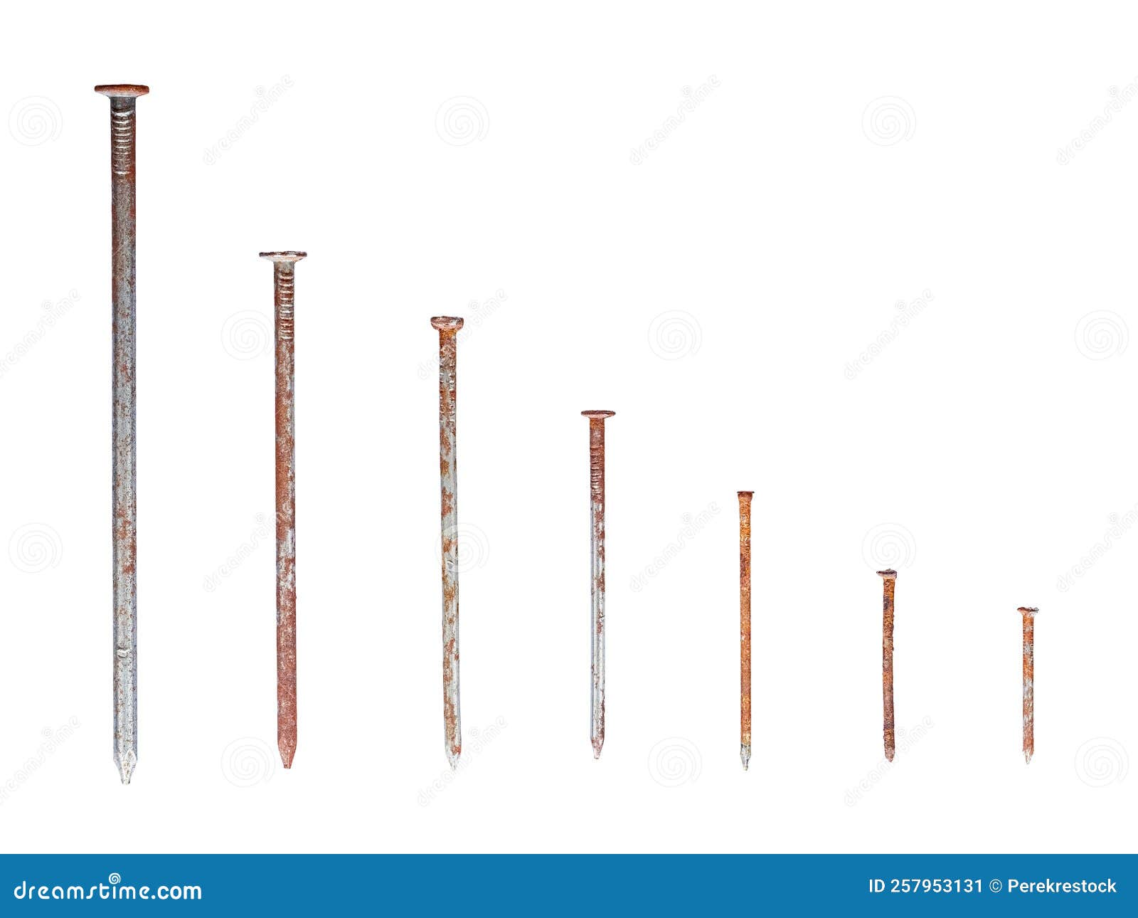 Old Rusty Nails of Different Lengths Isolated on White Stock Image ...