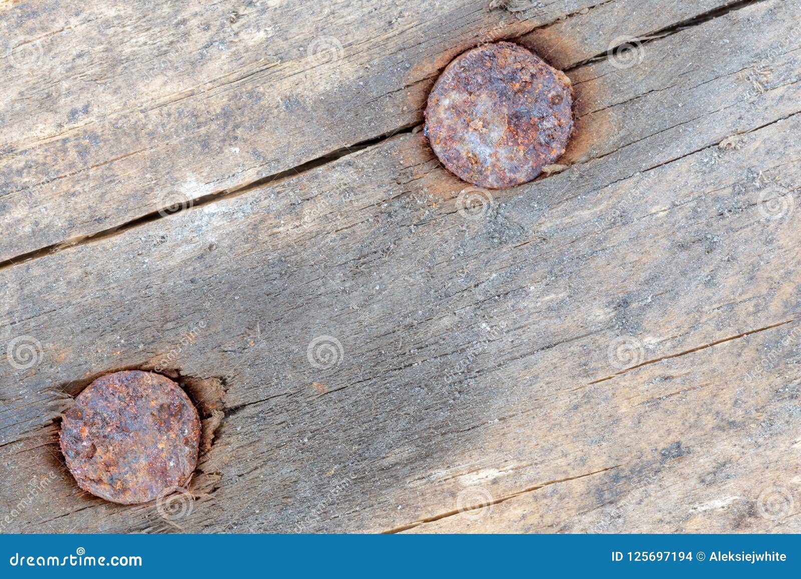 Old Rusty Nails in an Old Wooden Board Macro Shot Stock Photo - Image ...