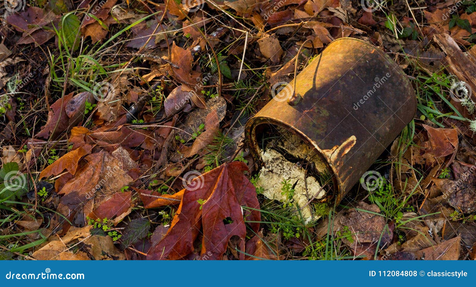 Old Rusty Paint Can Lying on the Forest Floor Surrounded by Leaves ...