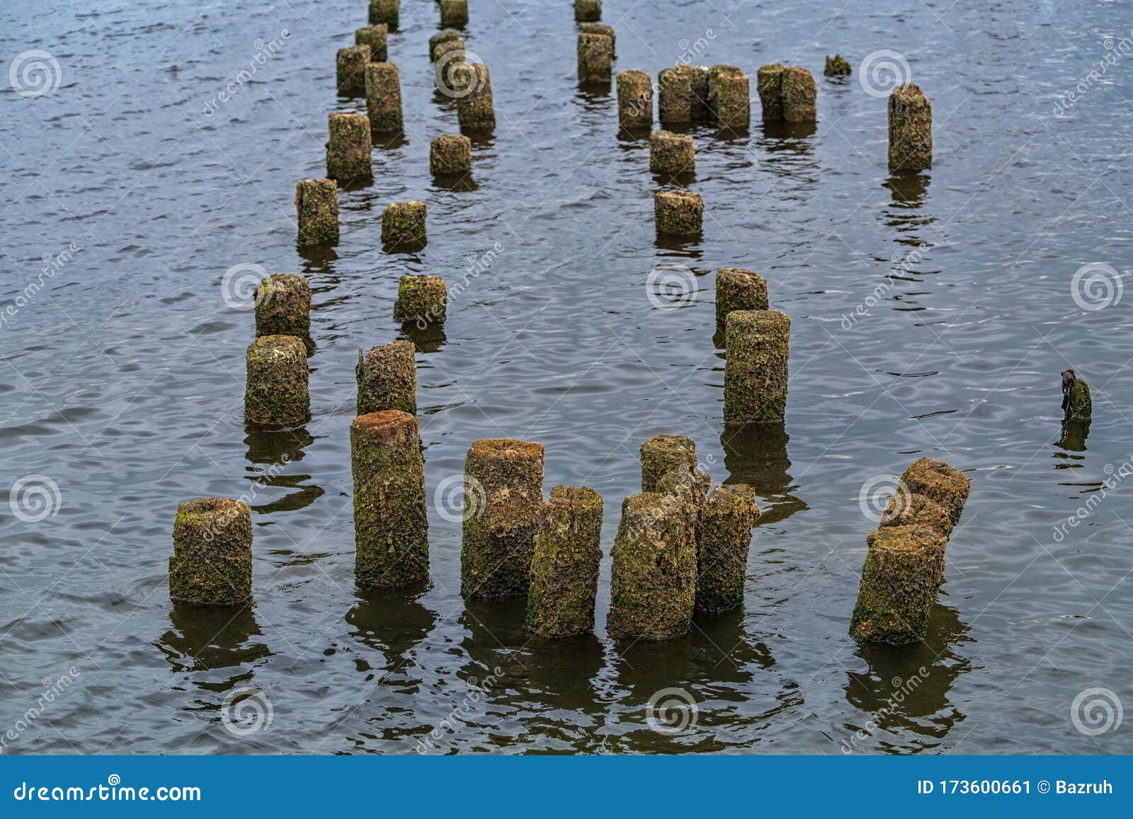 Piles Pier Wood Structure In The Sea Stock Image | CartoonDealer.com ...