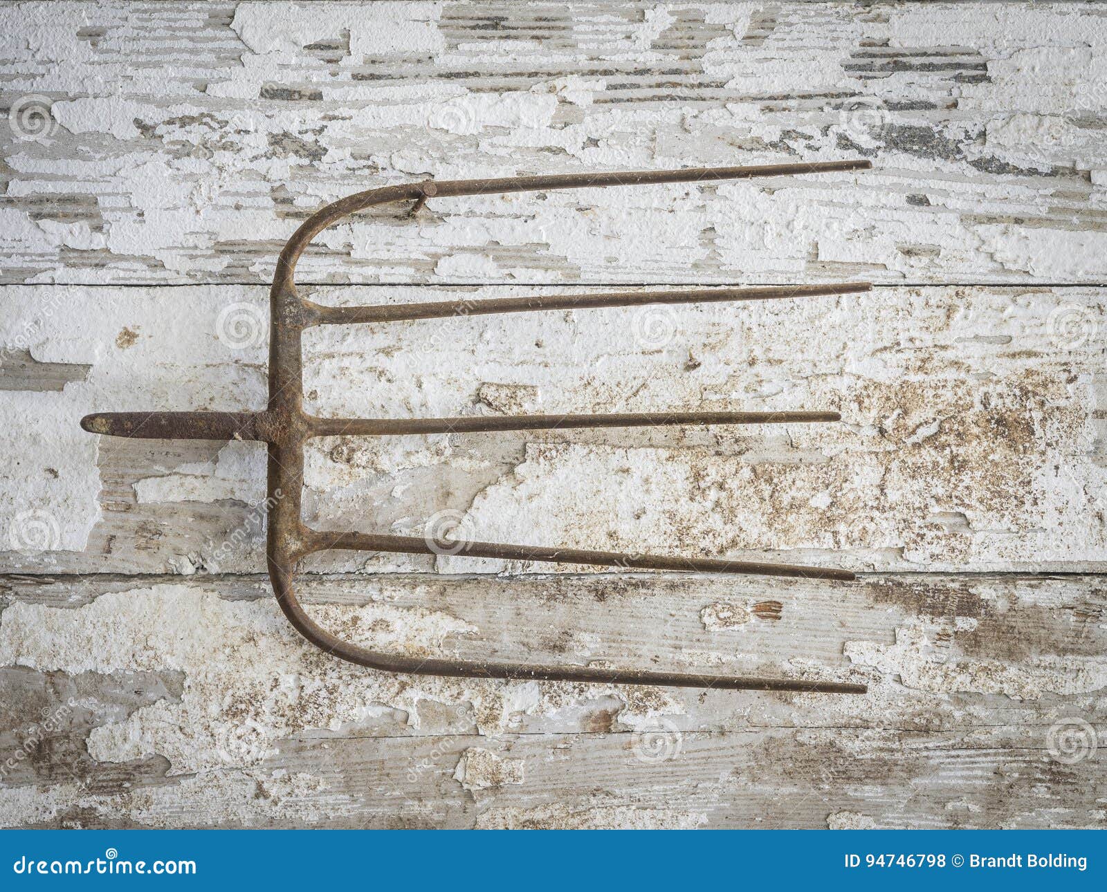Old Rusty Pitchfork Head on a Barn Wall Stock Photo - Image of barn ...