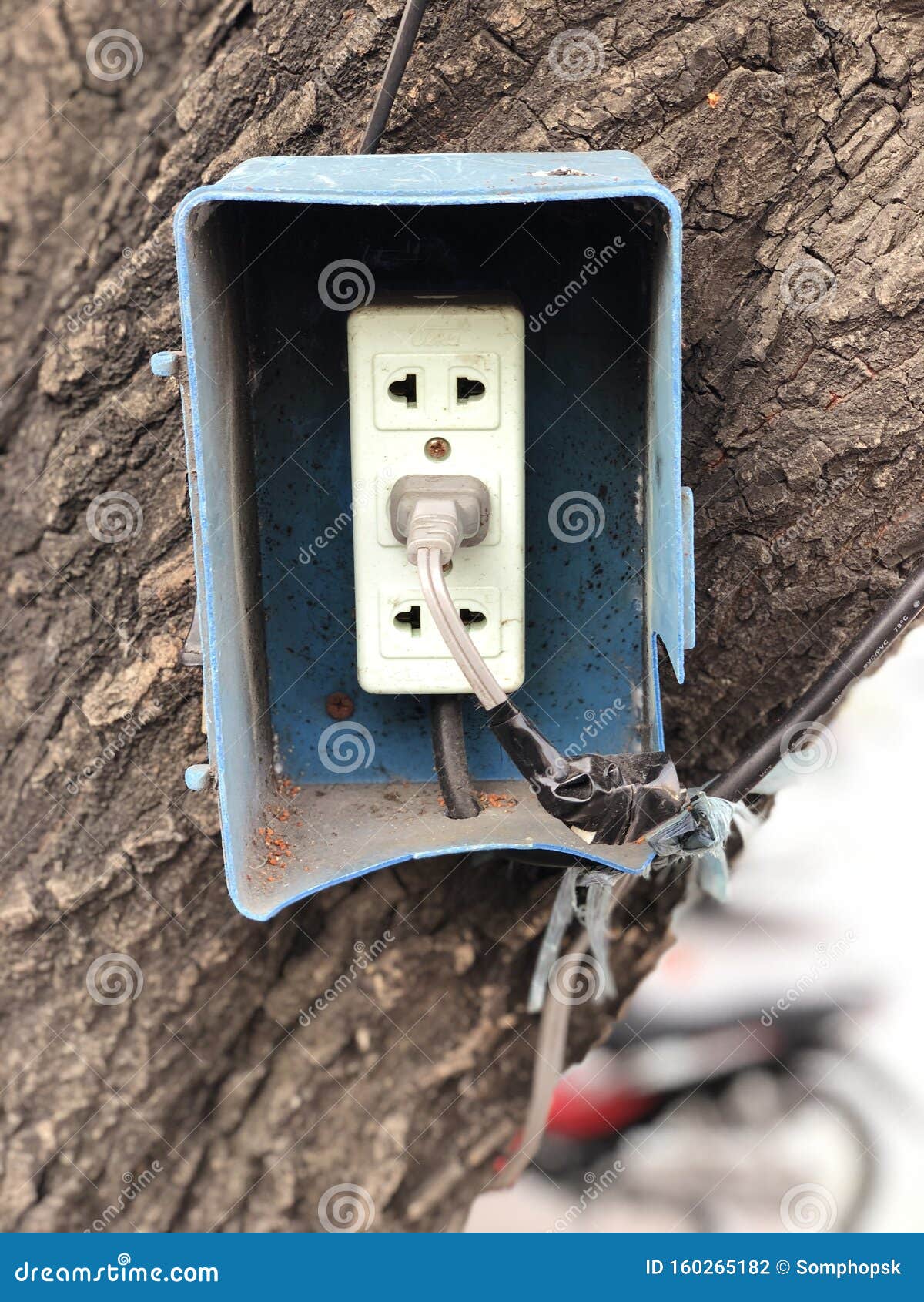 Old and Rusty Power Socket on the Tree Editorial Photography - Image of ...