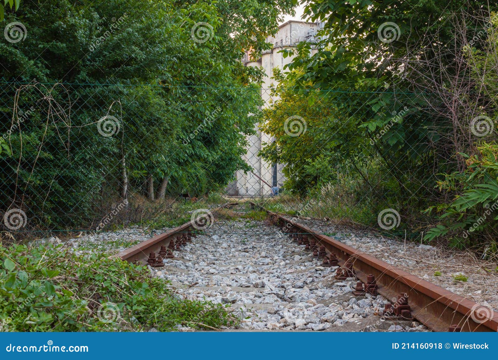 Old Rusty Railroad Tracks with Trees and Greenery on the Side Stock ...