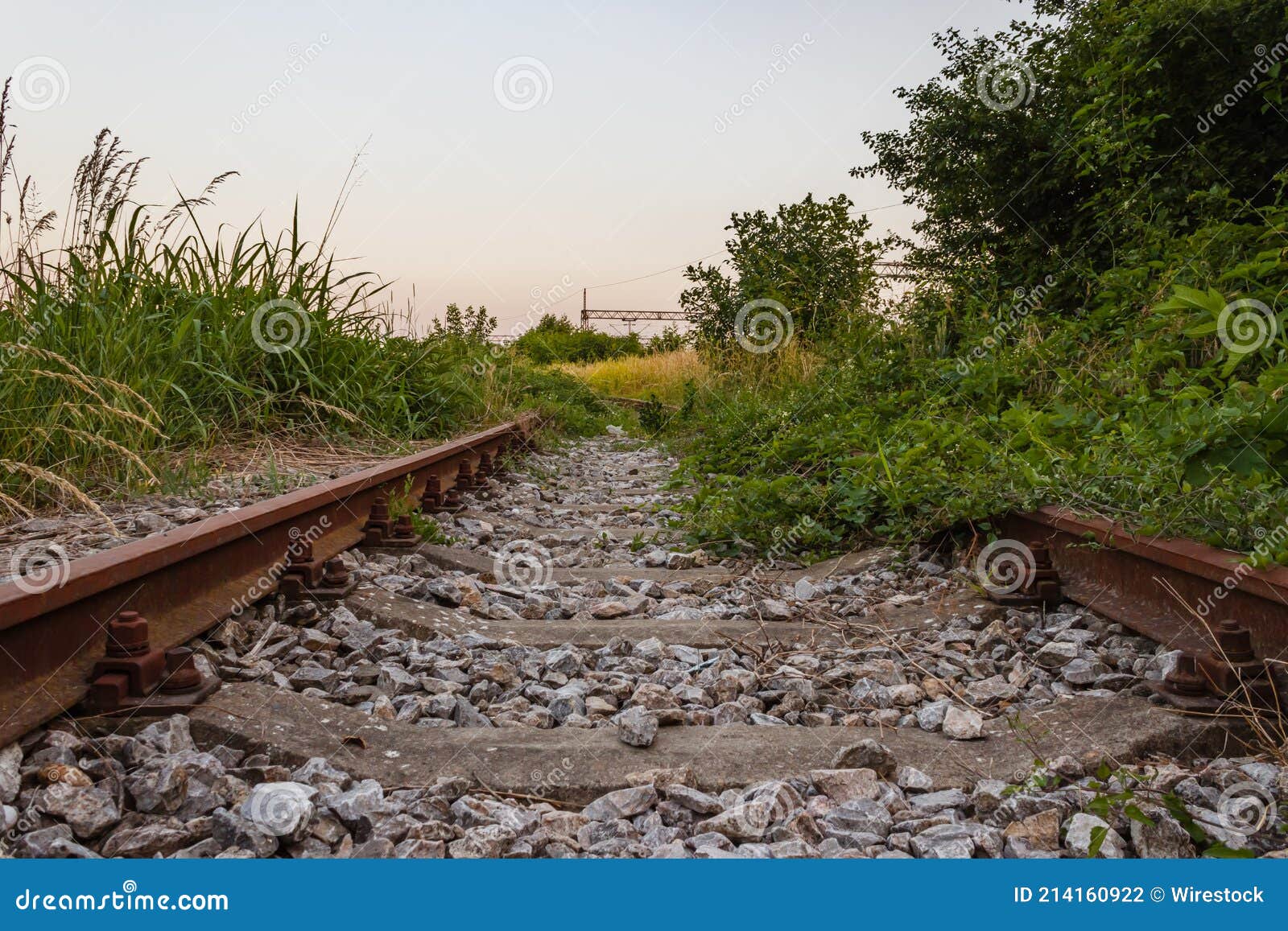 Old Rusty Railroad Tracks with Trees and Greenery on the Side Stock ...