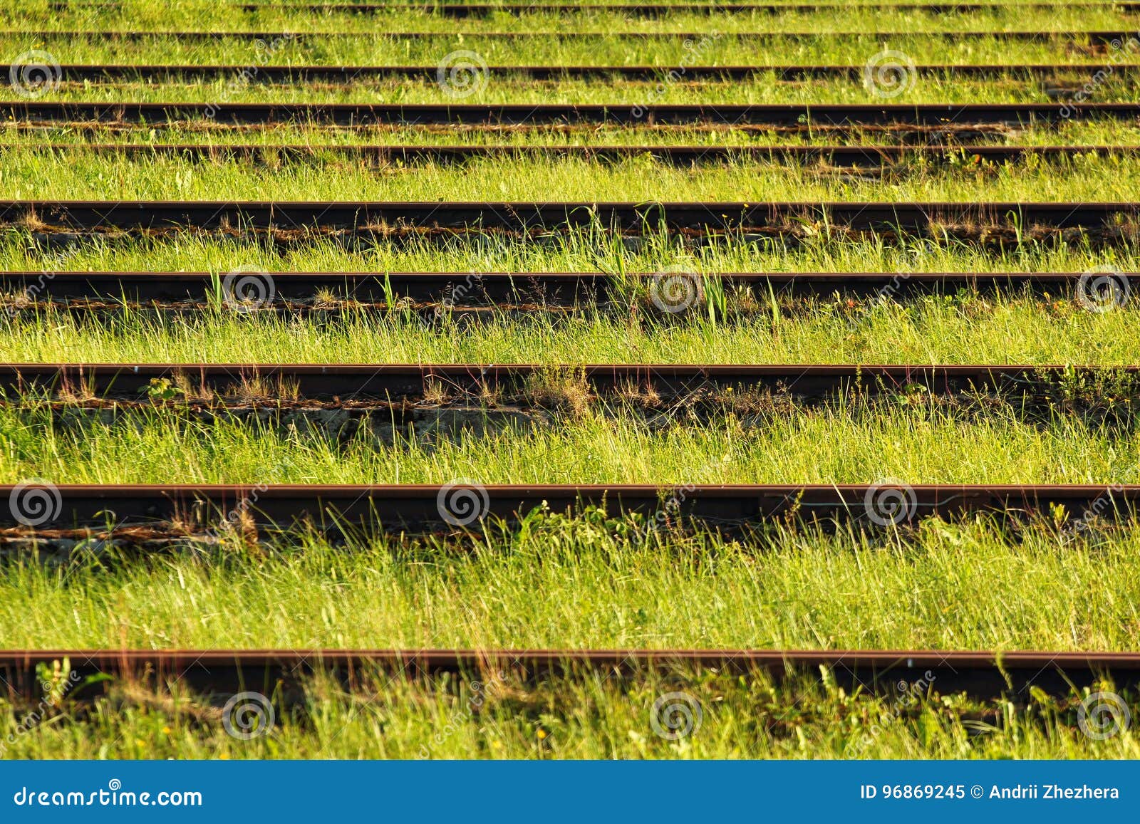 Old Rusty Rails in a Green Grass Stock Image - Image of industrial ...