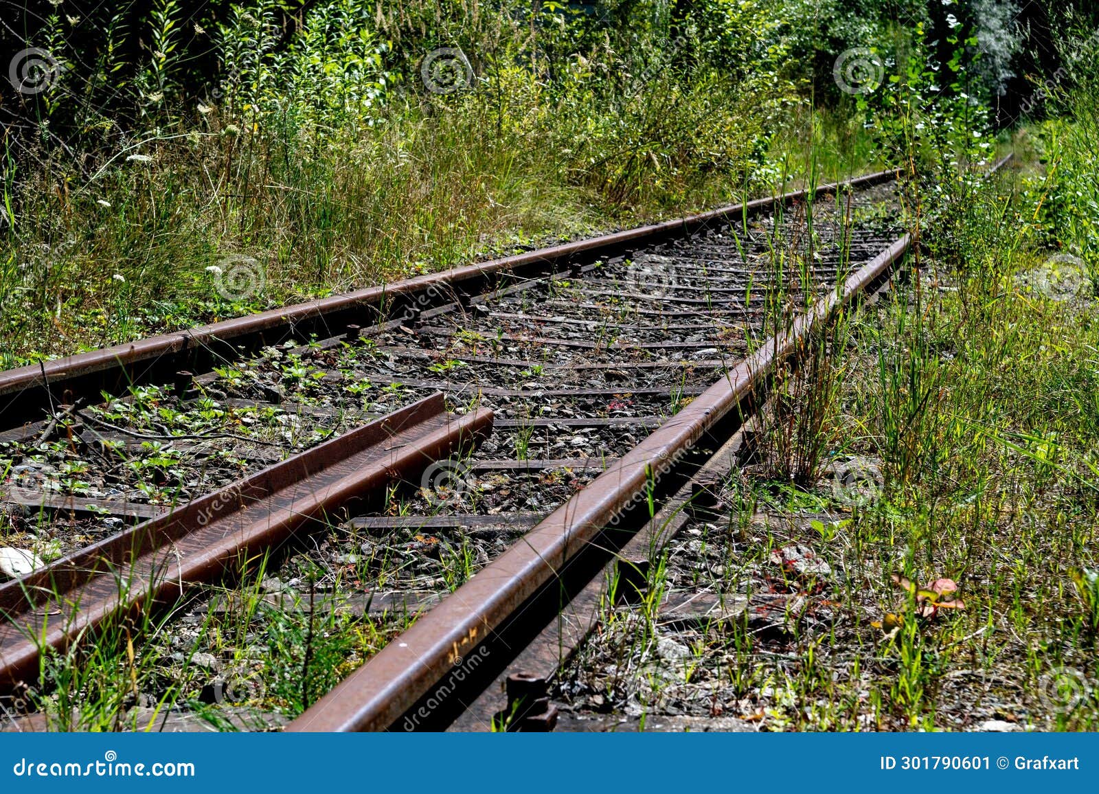 Overgrown Old Unused Rusted Railroad Tracks Resting On Wooden Railroad ...