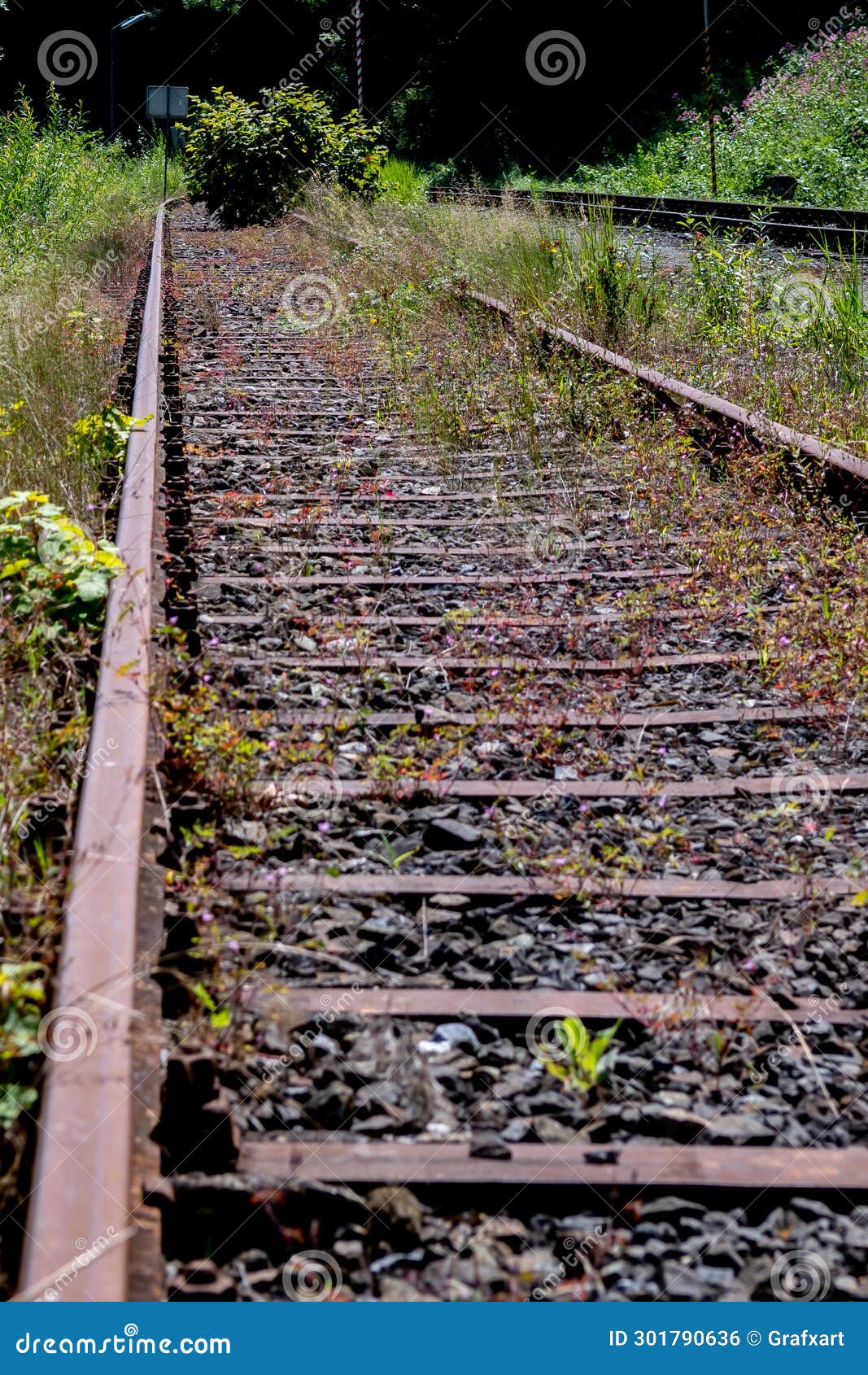 Old Rusty Rails on Unused Railroad Overgrown with Grass and Shrubs ...