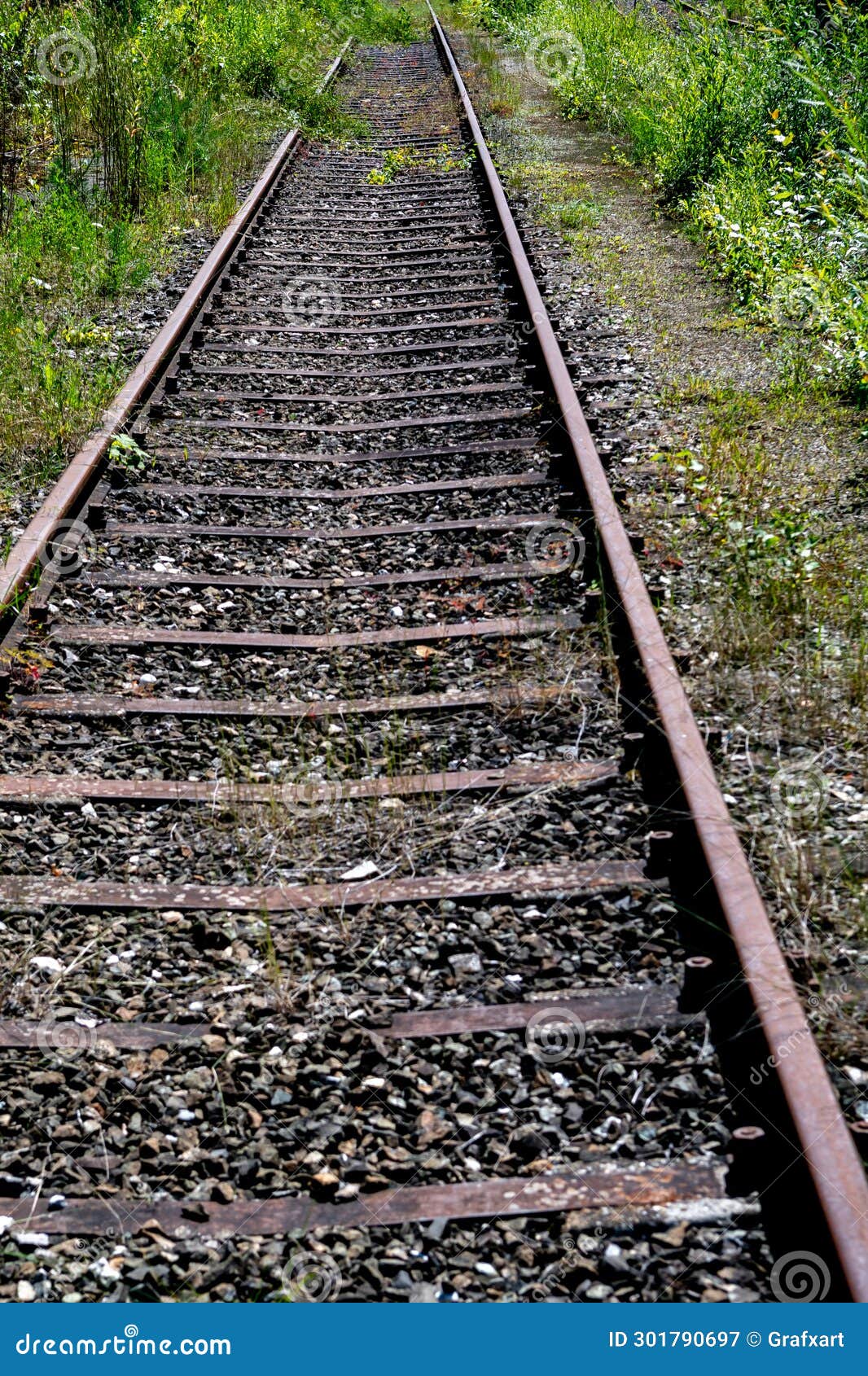 Old Rusty Rails on Unused Railroad Overgrown with Grass and Shrubs ...