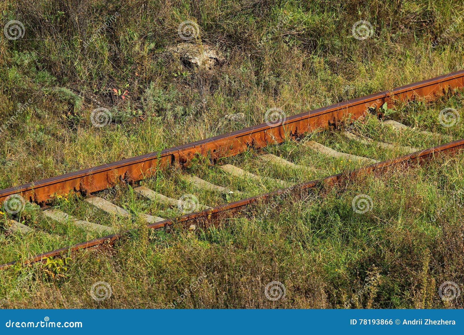 Old Rusty Railtracks in Green Grass Stock Photo - Image of ...