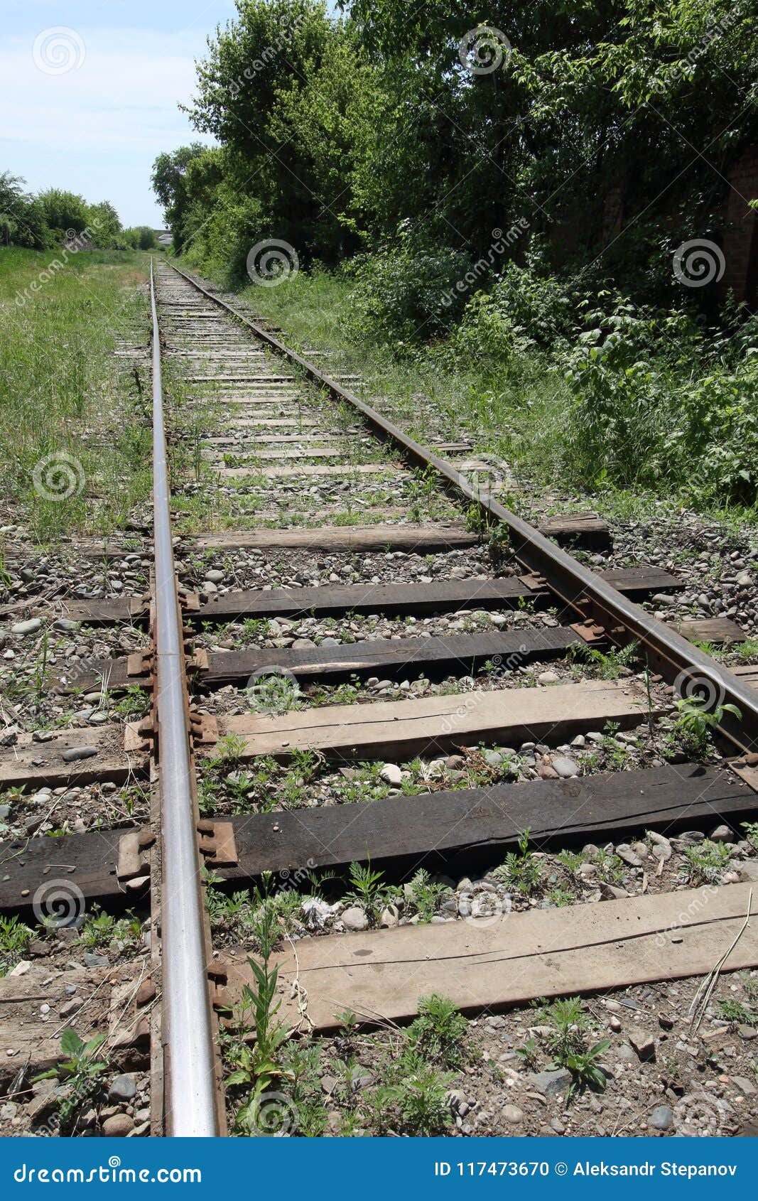 Old Rusty Railway through a Forest Stock Photo - Image of nature, plant ...