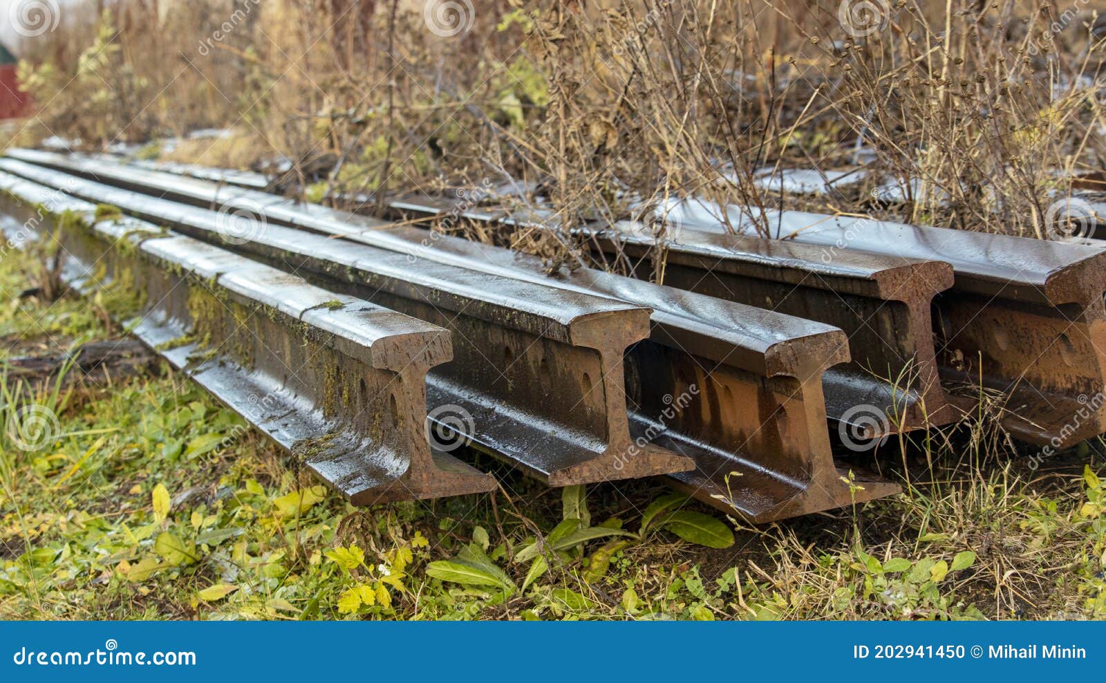 Old Rusty Railway Rails in the Grass Stock Photo - Image of rail, road ...