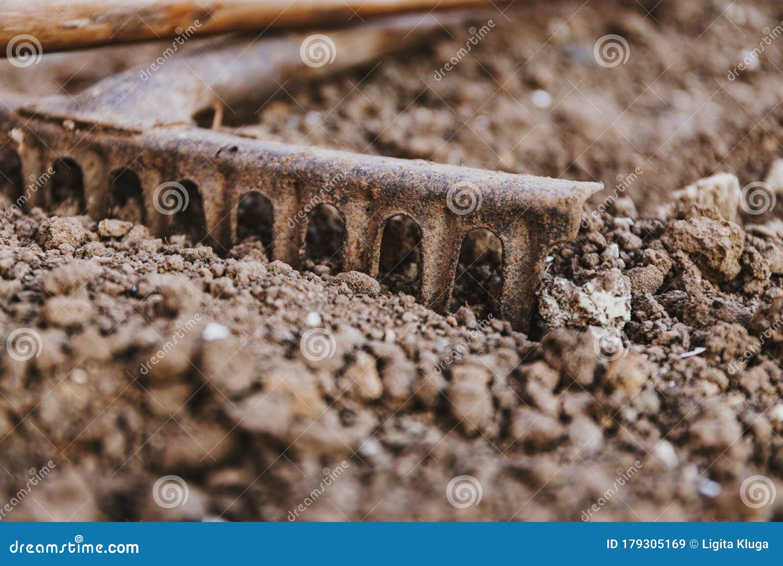 Old Rusty Rake Lays on the Ground Stock Image - Image of hand, foliage ...