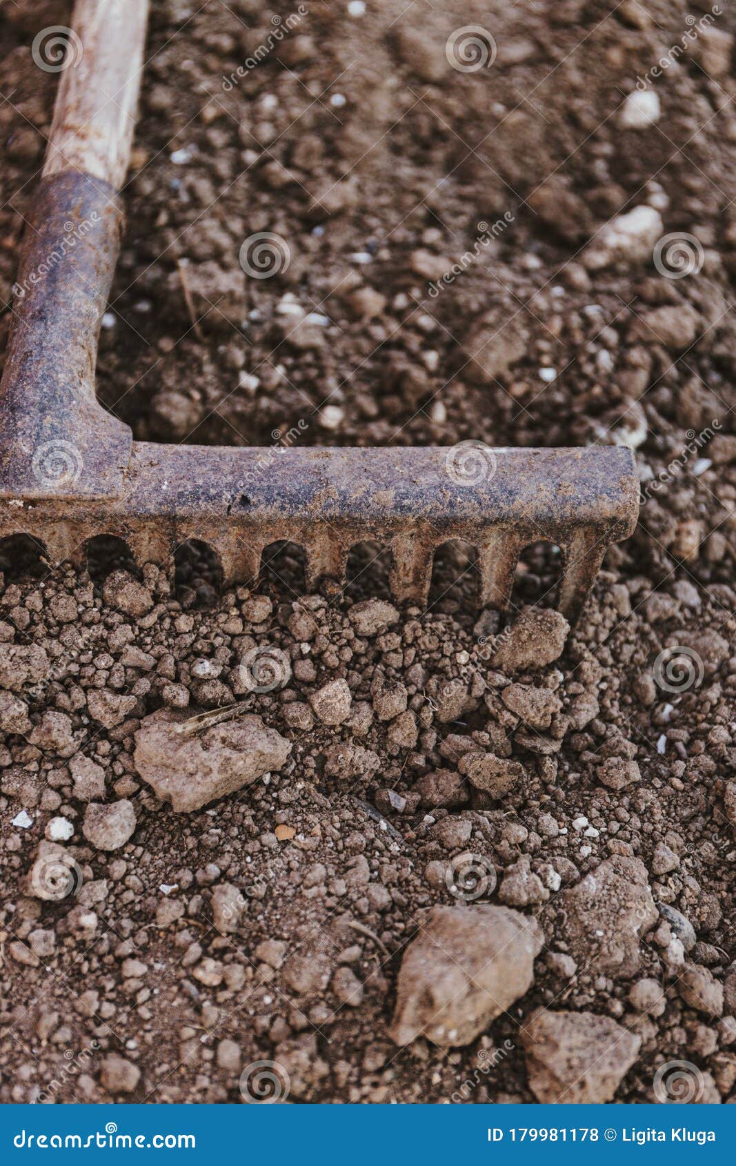 Rusty Rake Royalty-Free Stock Photography | CartoonDealer.com #12947987