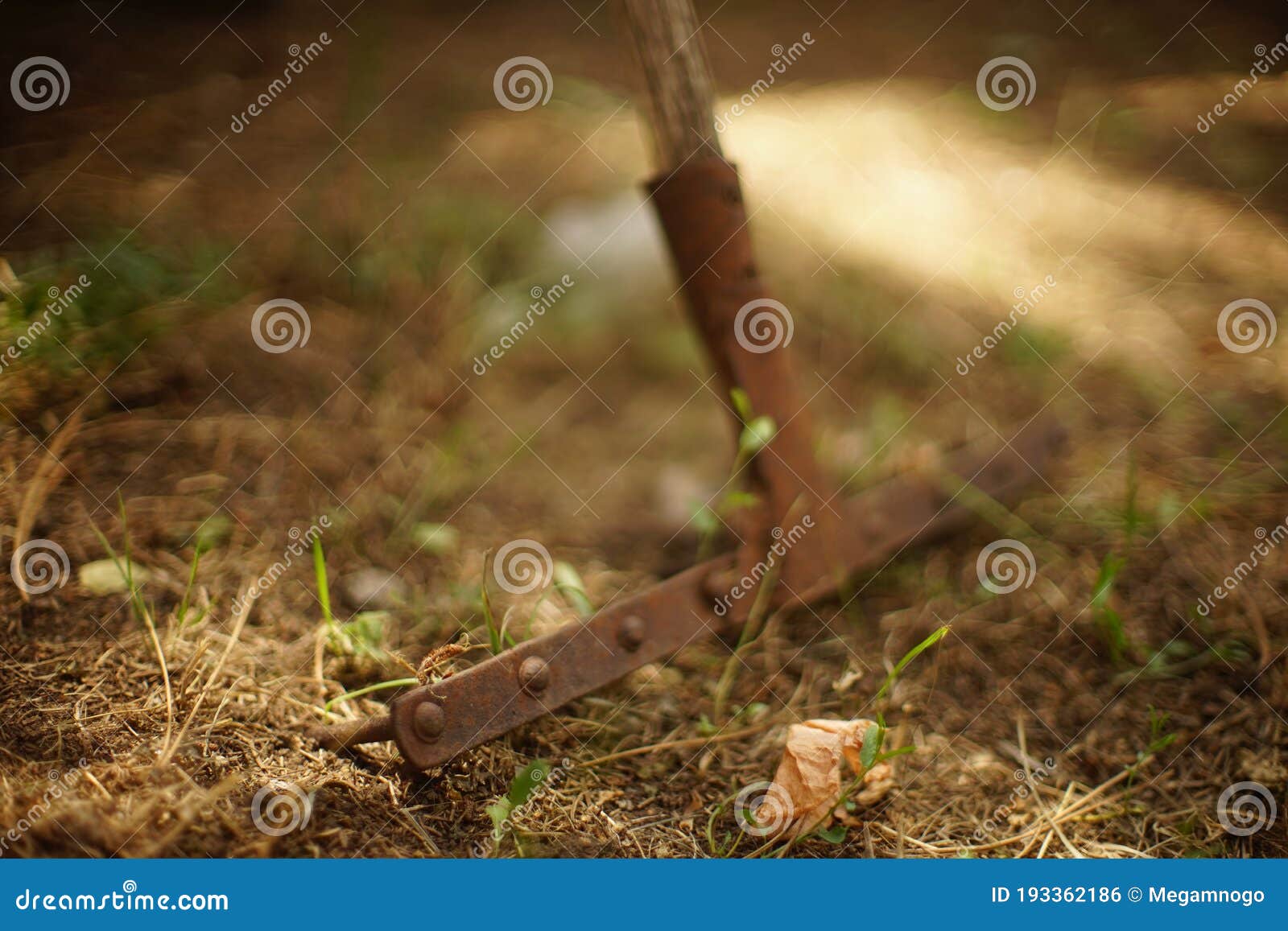 Rusty Rake Royalty-Free Stock Photography | CartoonDealer.com #12947987