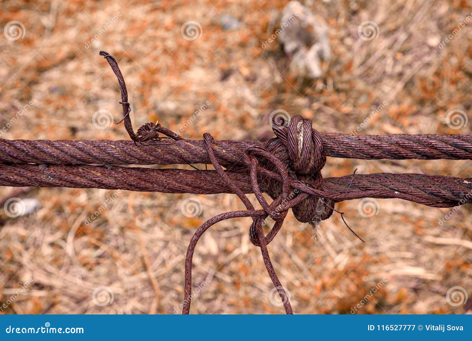 Old Rusty Rope for a Bridge Stock Image - Image of industry, iron ...